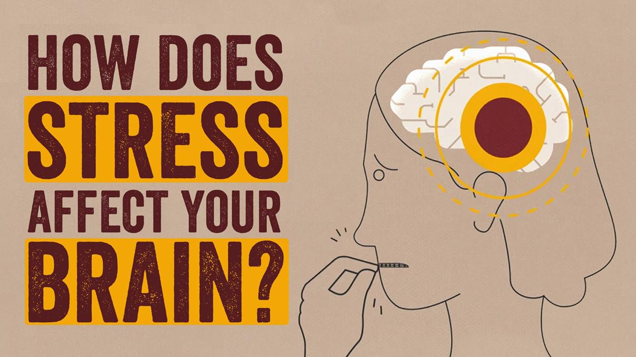 What Does Stress Do to Our Body? | Healing in Practice